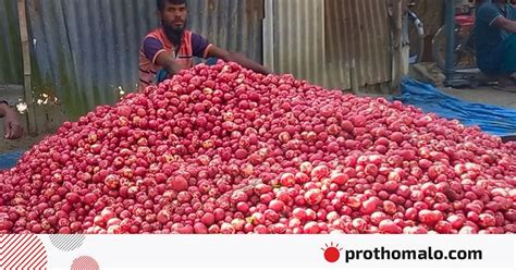 যে বাজারে দিনে বিক্রি হয় কোটি টাকার আলু প্রথম আলো