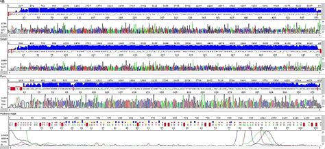 Přečištění Pcr Produktů Srovnání Kolonkových Souprav Různých Výrobců