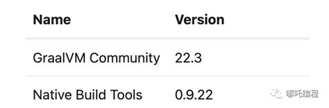 Spring Boot Jdk Cto