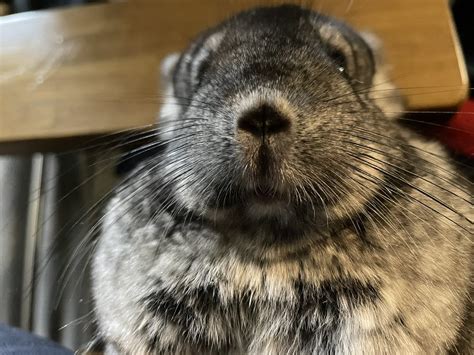 Jsmin Jsmin 2 Twitter