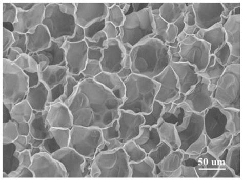 Method For Preparing Photonic Crystal Hydrogel With Temperature And