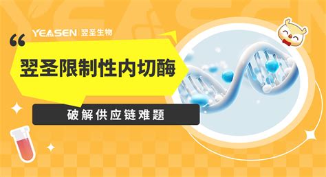 翌圣生物 成为生命科学工具产业领导者 分子蛋白细胞生物学科研试剂供应商