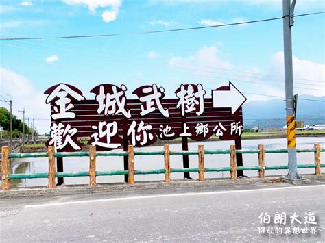 去台東伯朗大道看金城武樹、蔡依林樹！金城武廣告i See You爆紅台東景點！天堂路美翻！伯朗大道租腳踏車！ 猴屁的異想世界旅遊