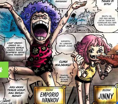 One Piece 1095 Punya Hubungan Dengan Kuma Jinny Bukan Ibu Luffy Teras Gorontalo