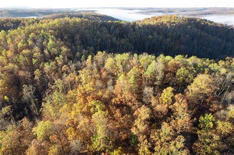 0000 County Road 336 Tract 1 Annapolis Mo 63620 Mls Reynolds