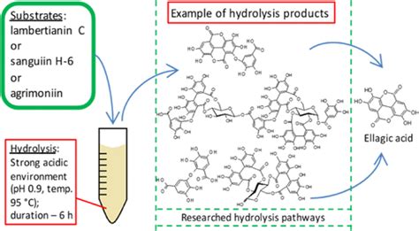 Journal Of Agricultural And Food Chemistry Vol 68 No 31