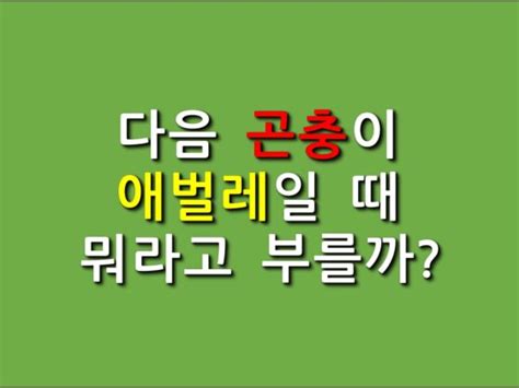 대만민국 최초로 발사된 인공위성은 이다 퀴즈에브리띵
