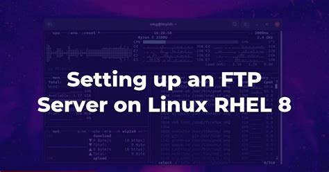 setting up an ftp server on linux rhel 8