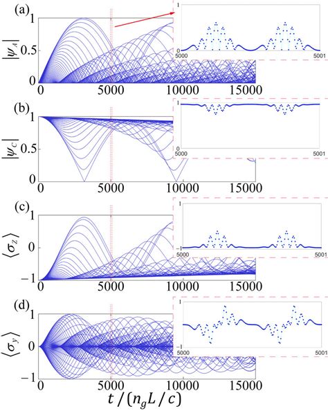 The Electric Field Amplitudes And Spin Texture From Simulations A