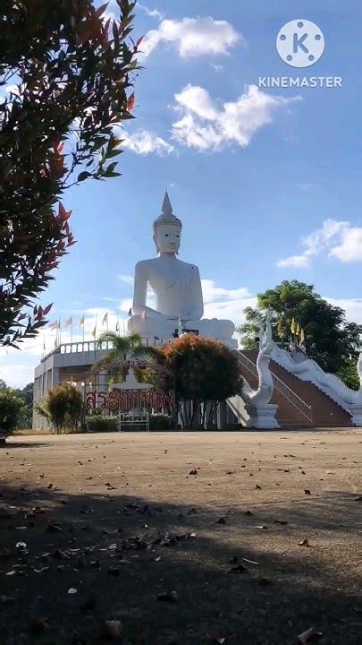 Buddh Ke Updesh गौतम बुद्ध के उपदेश Mahatmabuddha Buddhastory