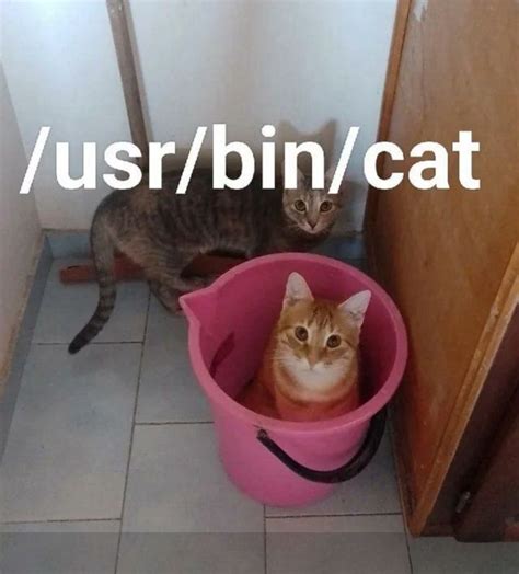 Dr Maria S On Linkedin Infosec Cybersecurity Cybersecuritytips Pentesting…