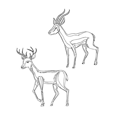 Deer Animal Outline Vector 28138235 Vector Art At Vecteezy