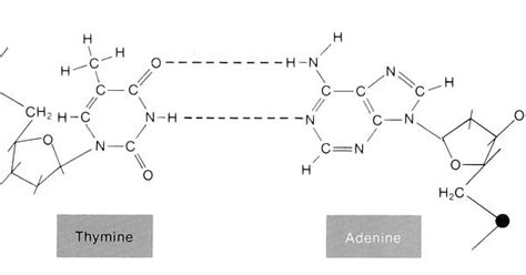 Just Doing My Part To Post Some Tanda Imgur