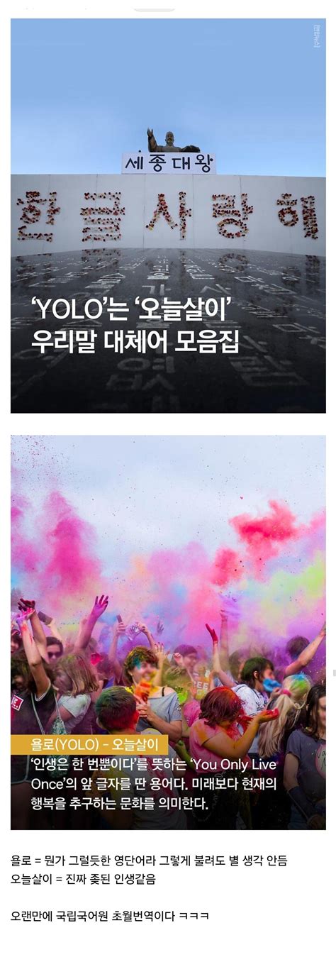 국립국어원이 제안하는 욜로의 우리말 대체어 인스티즈instiz 이슈 카테고리