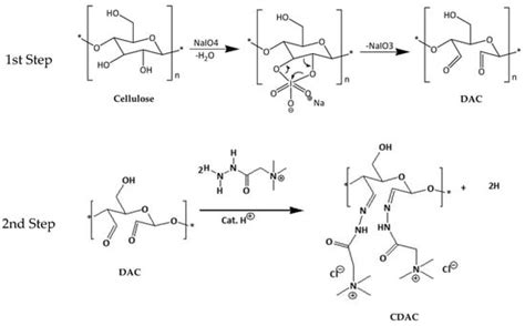 Customising Sustainable Bio Based Polyelectrolytes Introduction Of Charged And Hydrophobic