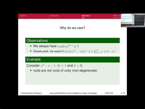 Free Video Exponential Relations Among Algebraic Integer Conjugates