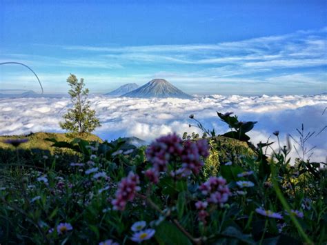 Pendakian Gunung Prau Part Jalur Patak Banteng