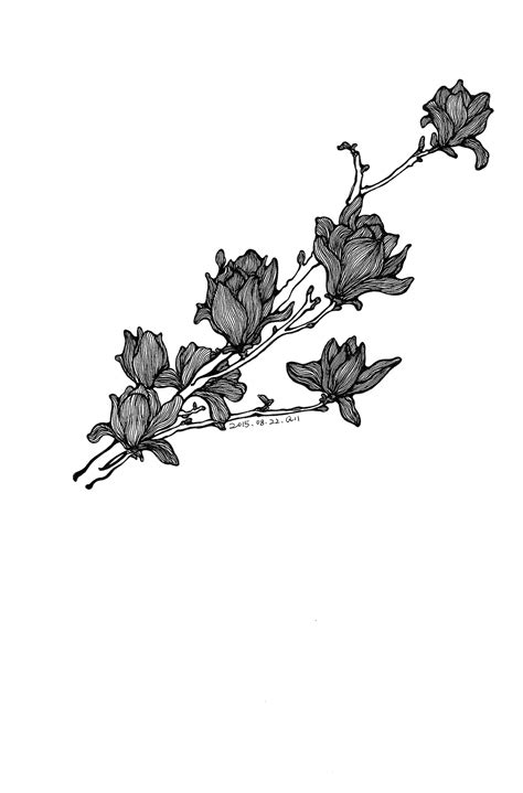 玉兰花瞿十一 站酷zcool