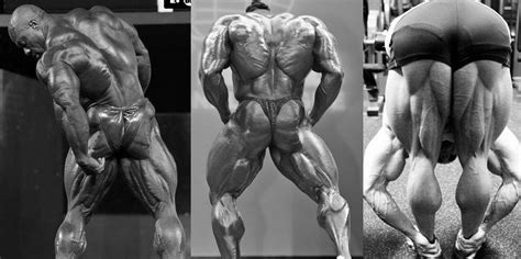 9 Effective Tips For Superior Hamstring Development Fitness Volt