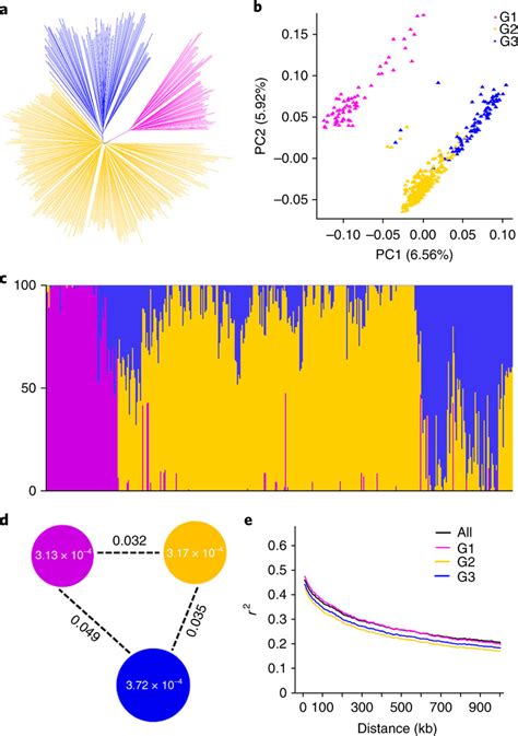 Phylogenetic Tree Pca Genetic Structure And Ld Decay Of The 419