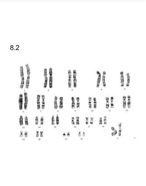 Solved 8 Constitutional Practical For Each Of The