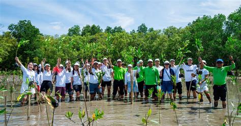 ប៉េង ហួត គ្រុប លើកកម្ពស់បរិស្ថាន ជាមួយបេសកកម្ម ដាំដើមកោងកាងចំនួន ៥ ០០០ដើម ក្រោមប្រធានបទ