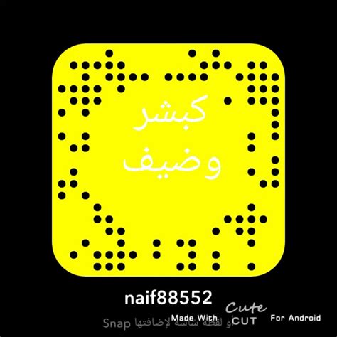 فلامينجو مول Youtube