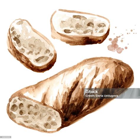 新鮮的黑麥麵包半和切片集手繪水彩插圖 在白色背景上隔離向量圖形及更多一團麵包圖片 一團麵包 小麵包 麵包 Istock