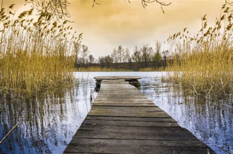 Stille Wasser Sind Tief Litlog