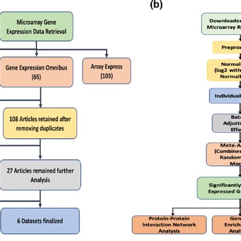 A Microarray Datasets Selection Process For Meta Analysis B