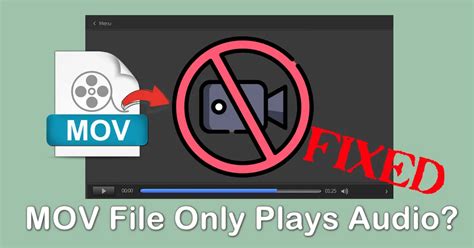 MOV File Only Plays Audio Here Are Simple Fixes
