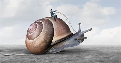 186 Visa Processing Time