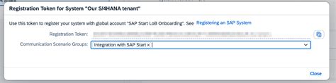 Setting Up Sap Start With Sap S 4hana Cloud Publi Sap Community