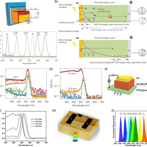 A Schematic Of Perovskite Single Crystal Device Structure B Download Scientific Diagram