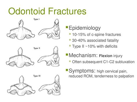 What Does A Fractured Collarbone Look Like Clavicle Fracture Symptoms