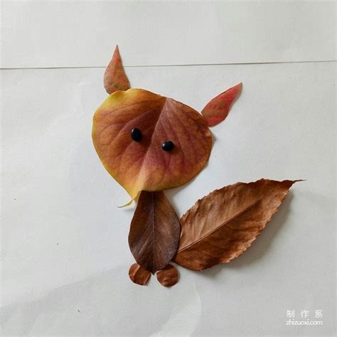狐狸叶子图片狐狸图片叶子图片大山谷图库