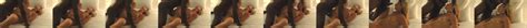 Seka Vs Long Dong Silver Free Black Porn 4a Xhamster Xhamster