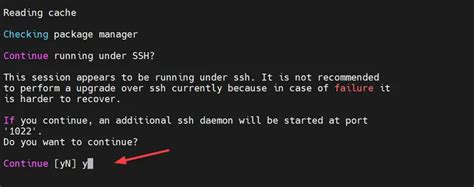 how to upgrade ubuntu 22 04 to ubuntu 24 04 lts