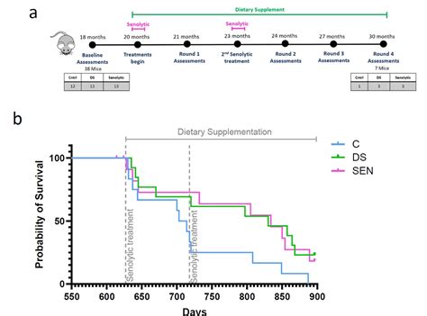 NOVOS Supplement Lifespan Extension In Male Mice