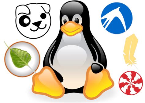 Best Linux Distributions For Old Computers Pixelated Dwarf