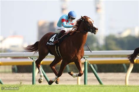【京成杯】半端じゃない瞬発力！「絶好ポジション」から突き抜ける可能性を秘めた1頭 競馬ニュース 競馬ラボ
