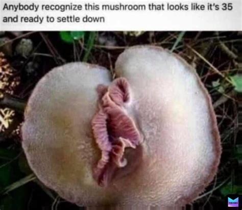 Millennial Meme Loose Pussy Kristen86
