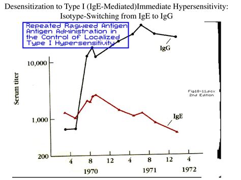 Ppt Type I Ige Mediated Immediate Hypersensitivity Powerpoint