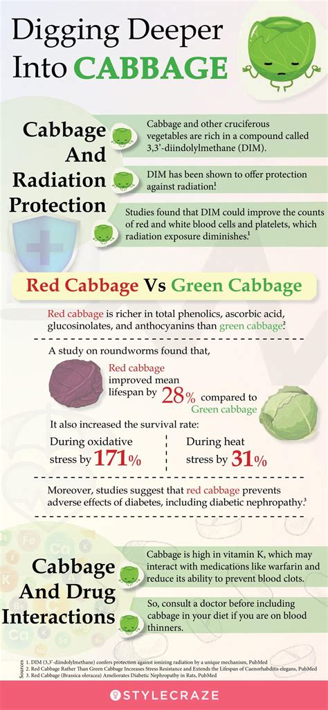 Health Benefits Of Violet Cabbage At Jenny Joshi Blog