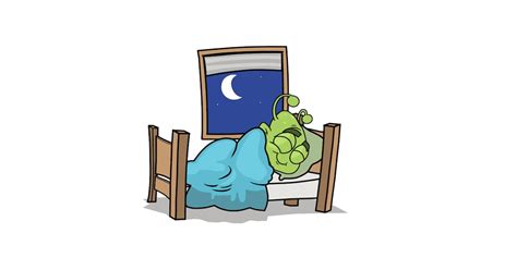 Sequencing Events Lesson Maths Au