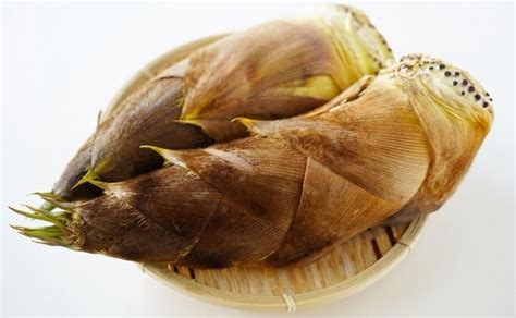 월별로 일본 문화를 알아봅시다 3월 편