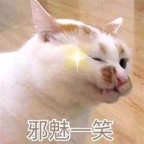 读xx专业是一种怎样的体验？学院