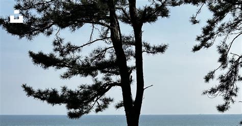 물줄기 옆 선로를 달리는 노란색과 흰색 기차 사진 Unsplash의 무료 대한민국 이미지
