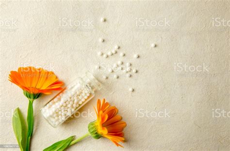 투명 한 병 항아리의 평면 평지 보기 위에 거짓말 하 고 둥근 동종 요법 알 약 소구 소박한 베이지 배경에 흩어져 냄비 마골드