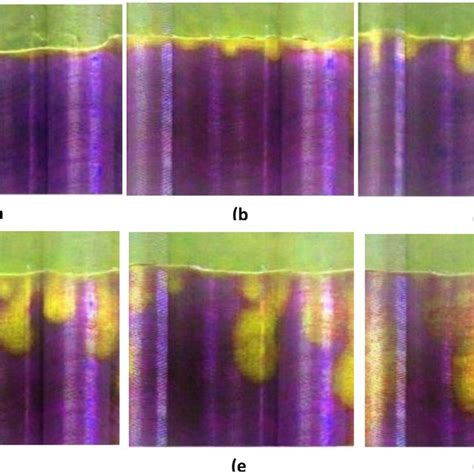 —pictures Of Saturated Brine At Different Time Steps Of The Experiment